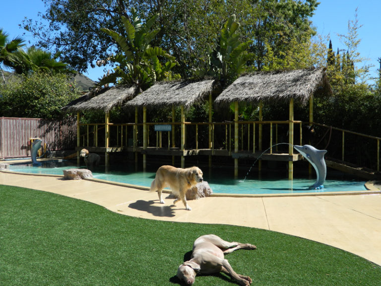 ahh..paradise | Paradise Ranch Pet Resort